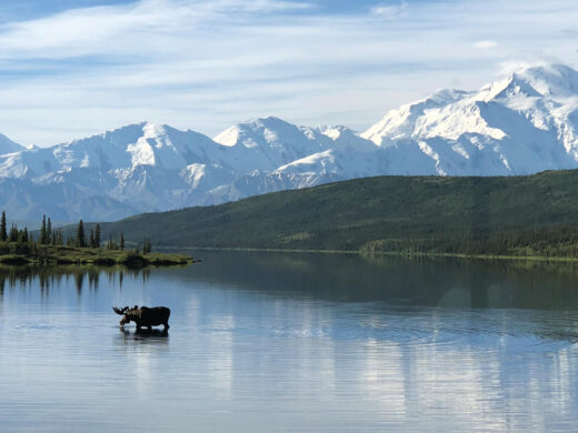 Six Reasons to Visit Denali - Go Next