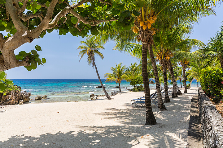 Shady Beach at Lighthouse Point - Go Next